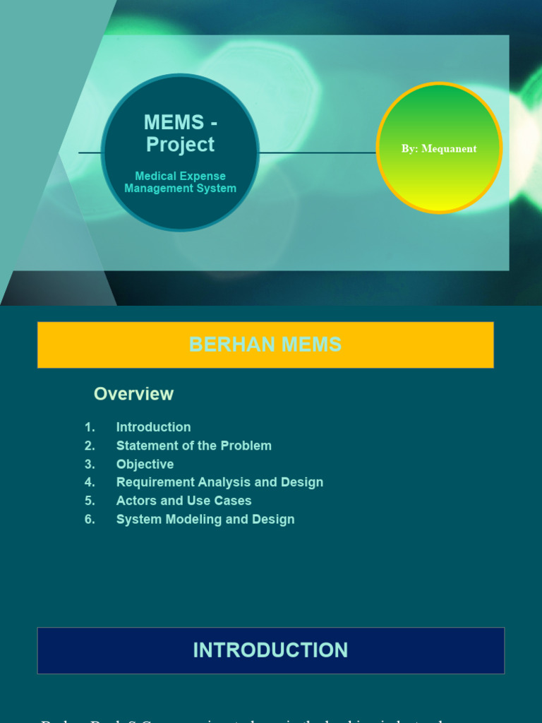 MEMS - Project | PDF | Expense | Software Engineering