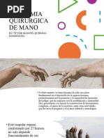 Anatomía de la Mano y Muñeca | PDF | Mano | Articulaciones