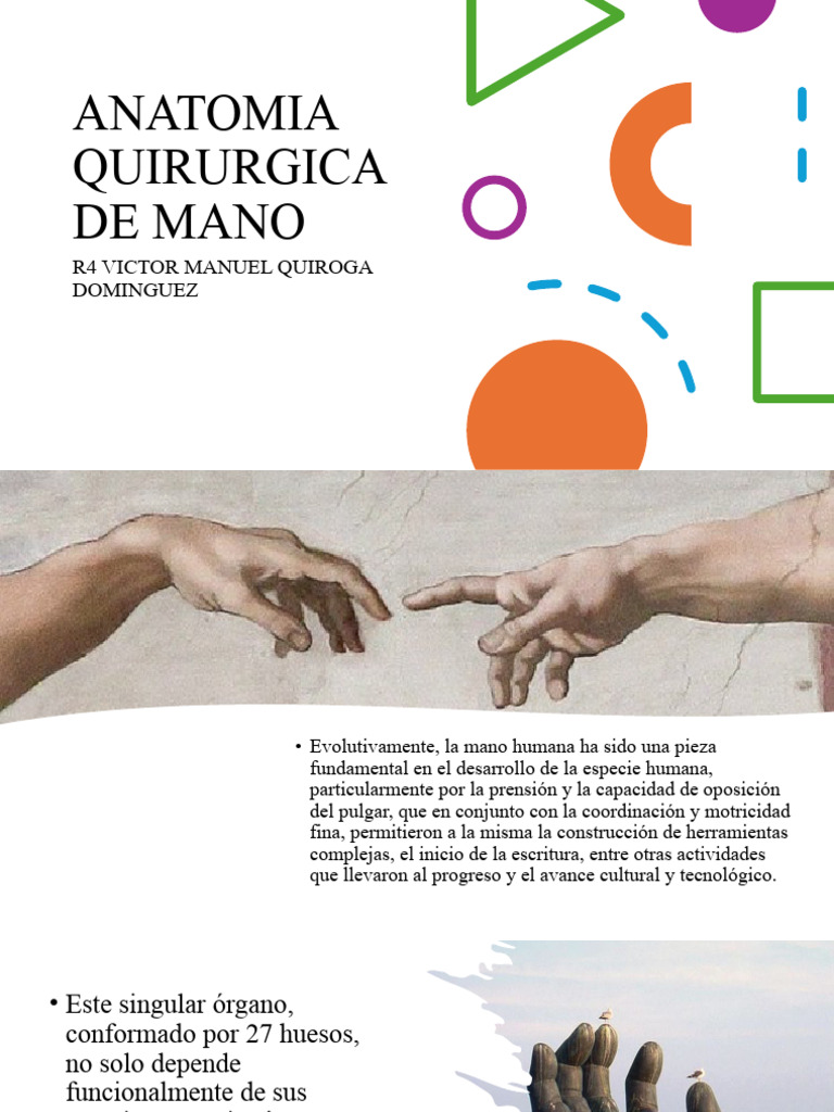 Presentacion Mano | PDF | Mano | Sistema esquelético