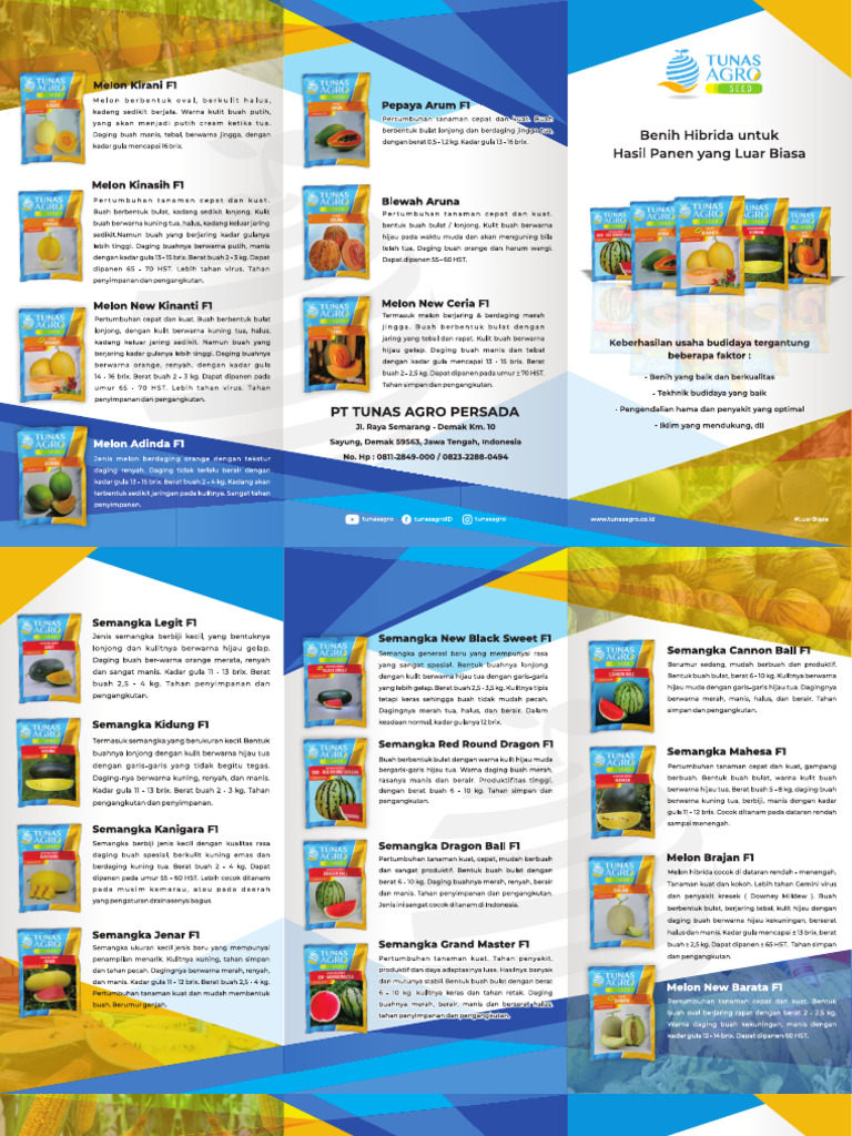 Trifold Brochure | PDF