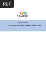 BSBTEC302 Student Assessment Task 2 - Project Portfolio V1.1 | PDF | Spreadsheet | Simulation