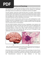 Anaphy Introduction | PDF | Cell (Biology) | Endoplasmic Reticulum