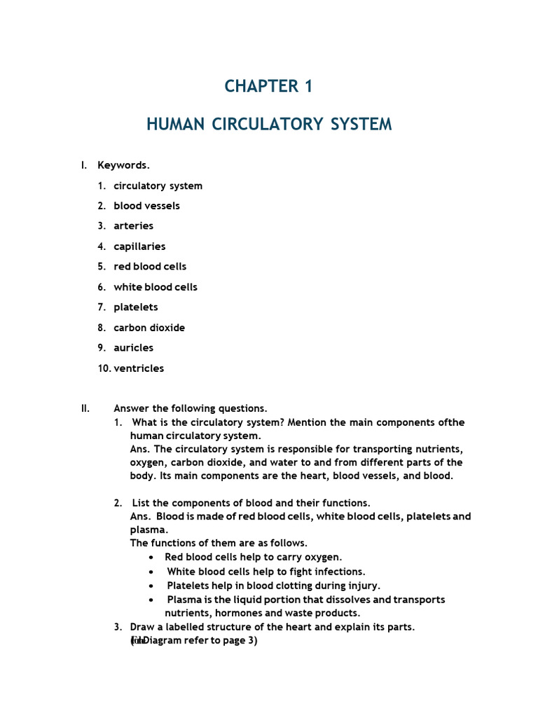 Chapter 1 Circulatory System Notes | PDF