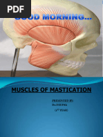 Muscles of Mastication PDF | PDF | Musculoskeletal System | Animal Anatomy