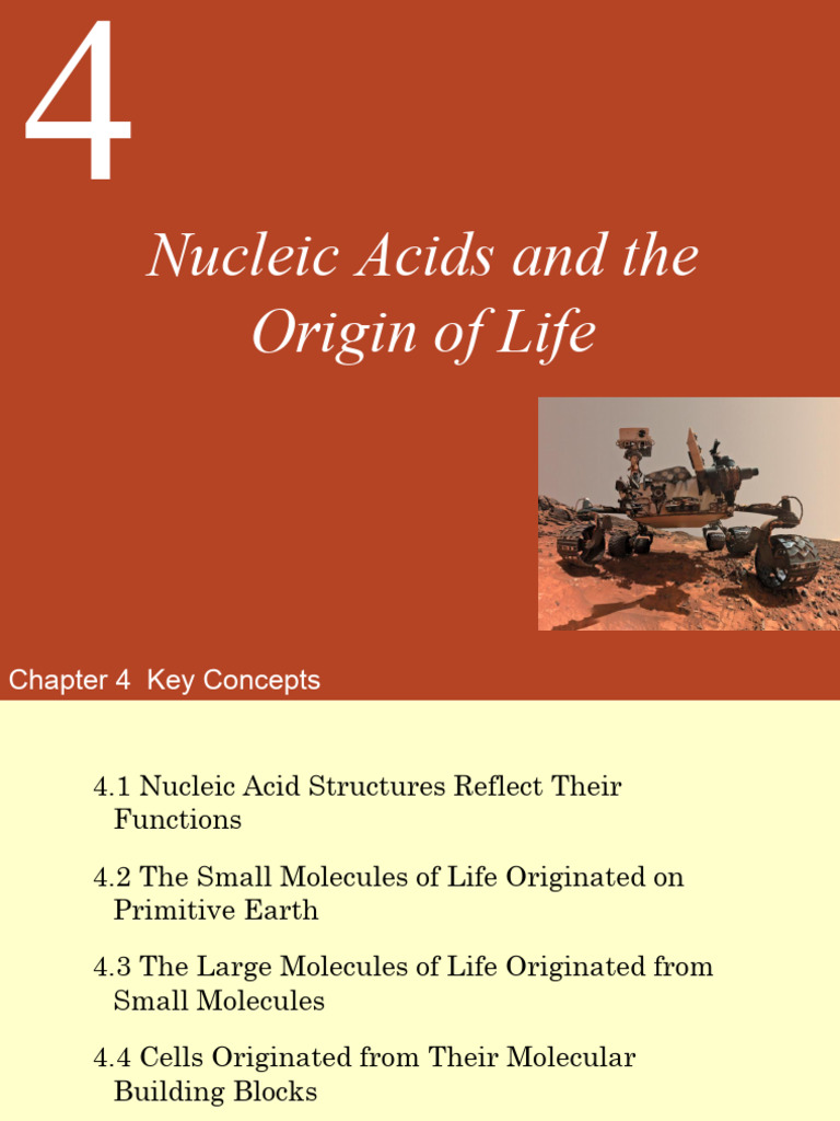 3 Nucleic Acids And The Origin Of Life Pdf Nucleic Acids Rna