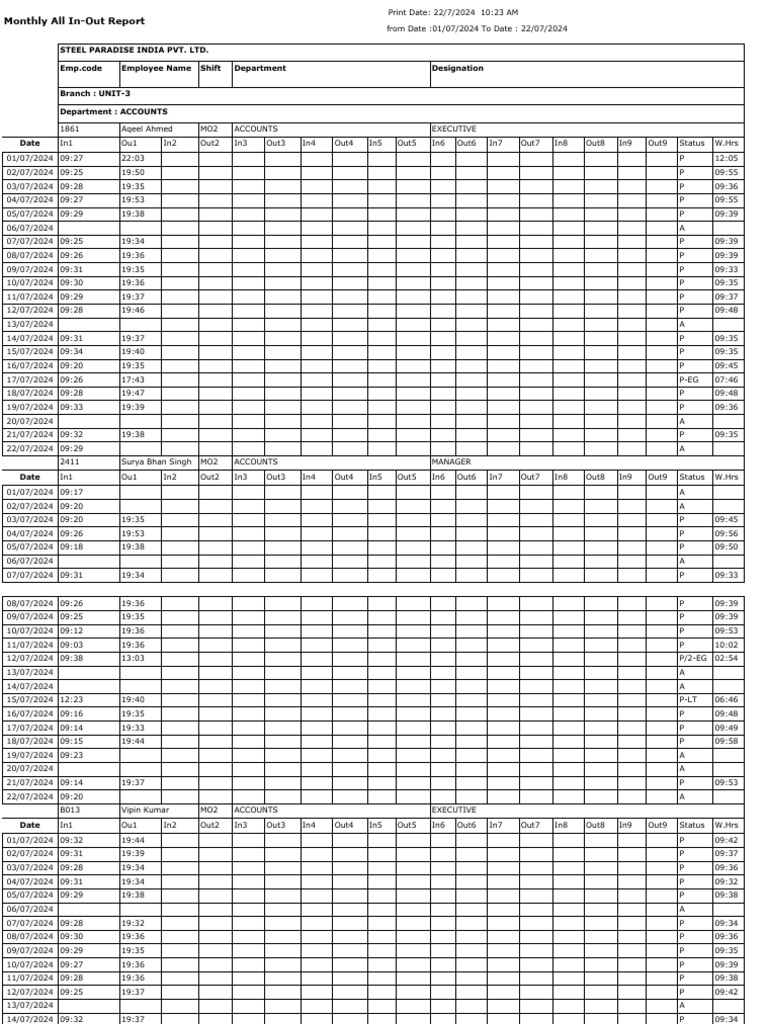 All Inout Report New Monthly | PDF