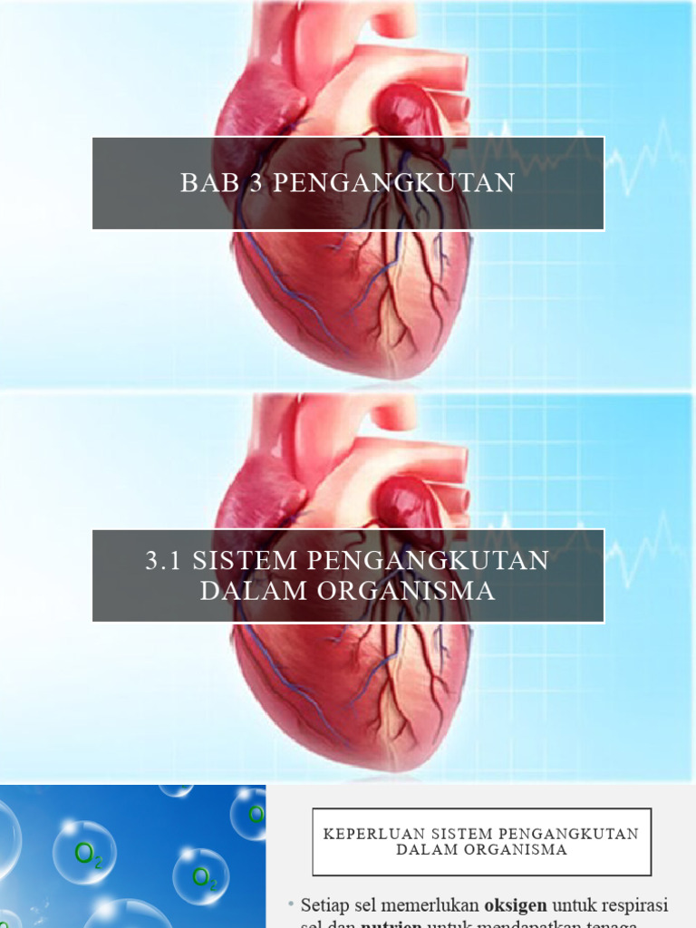 Sains F3 Bab 3 | PDF