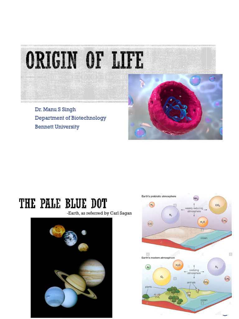 W4 Origin of Cells and Evolution | PDF | Cell (Biology) | Eukaryotes