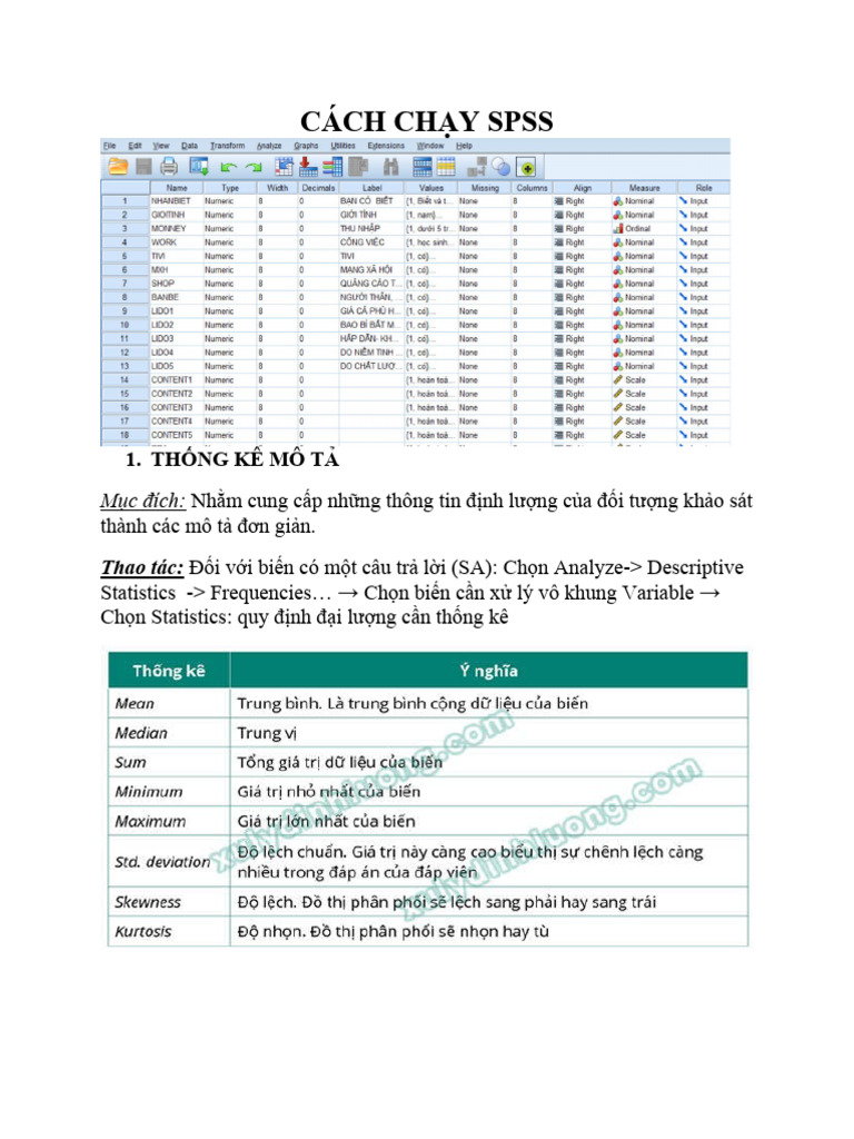 Cách CH y SPSS | PDF