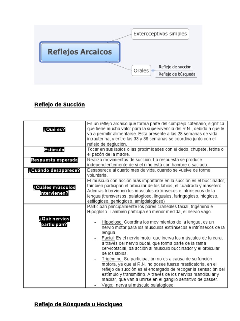 Reflejos de Succión y Búsqueda en RN | PDF | Lengua | Sistema ...