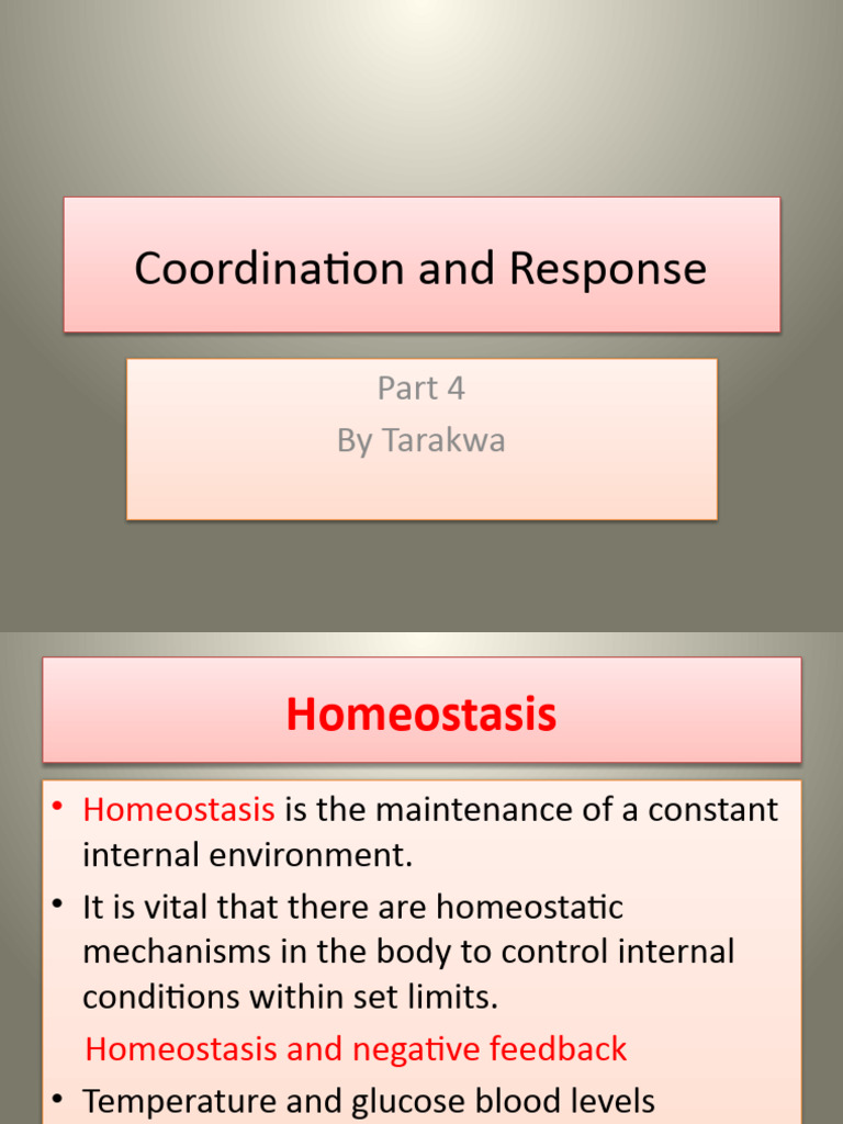 Coordination and Response Part 4 | PDF | Homeostasis | Glucose