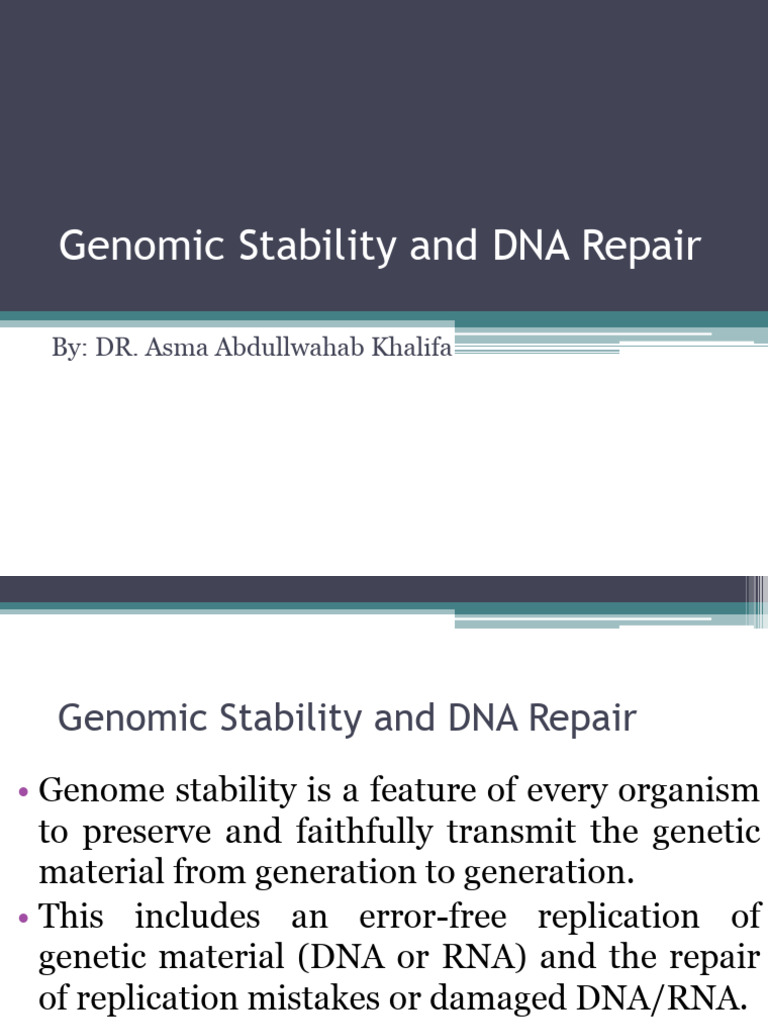 Genomic Stability & DNA Repair | PDF | Dna Repair | Cell Cycle
