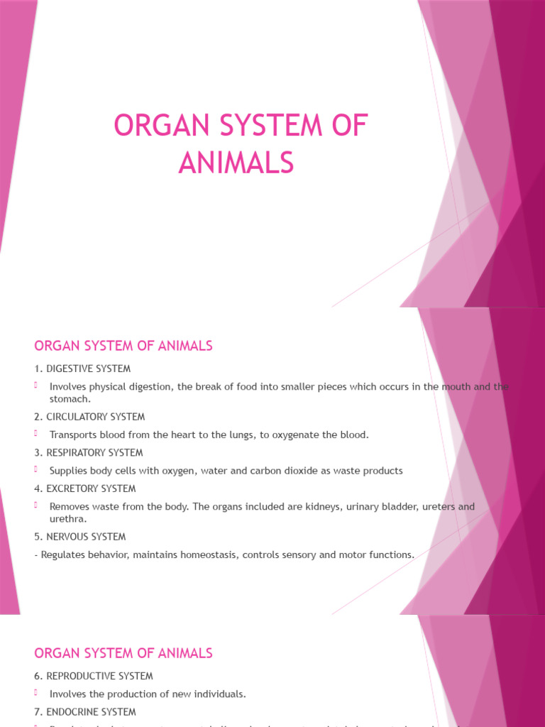 Organ System of Animals | PDF | Human Body | Plants