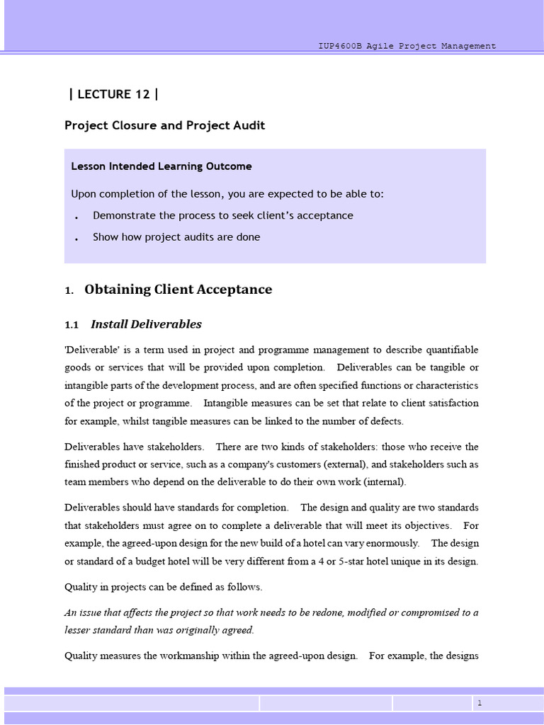 Lecture 12 | PDF | Project Management | Audit