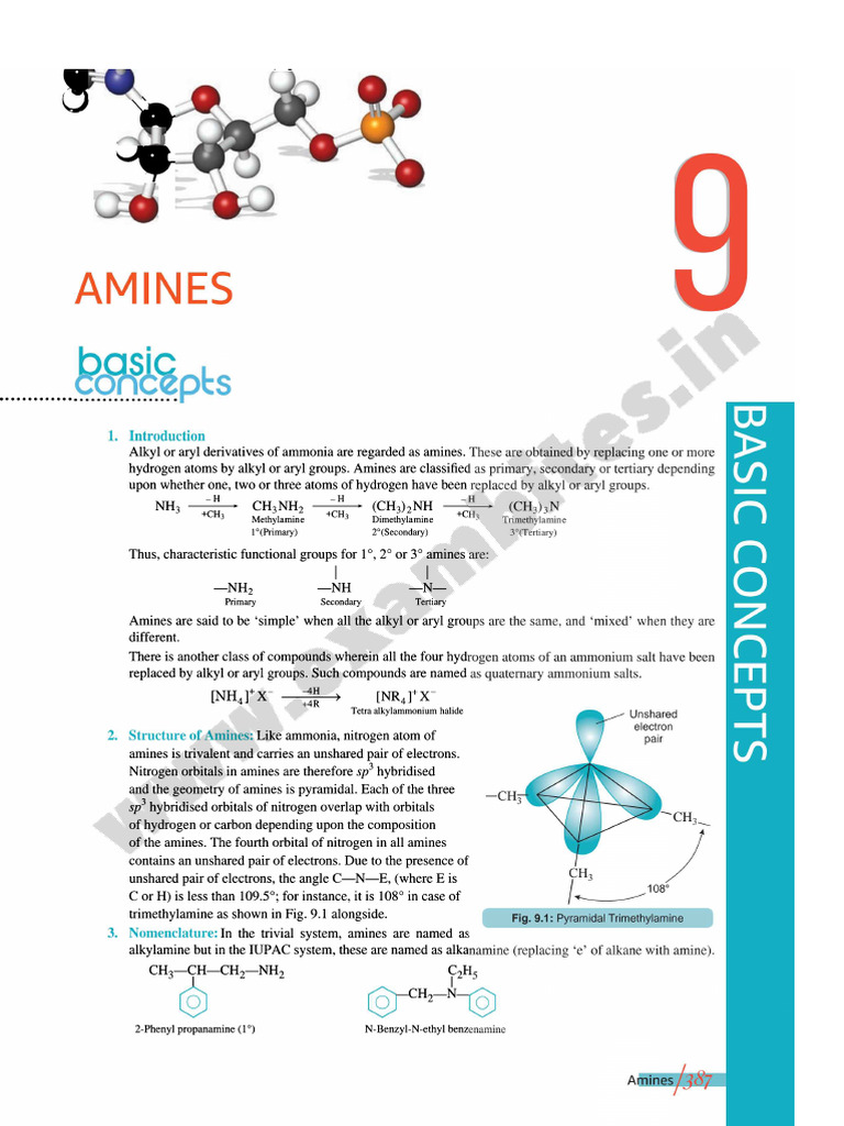 Anime and Bio | PDF