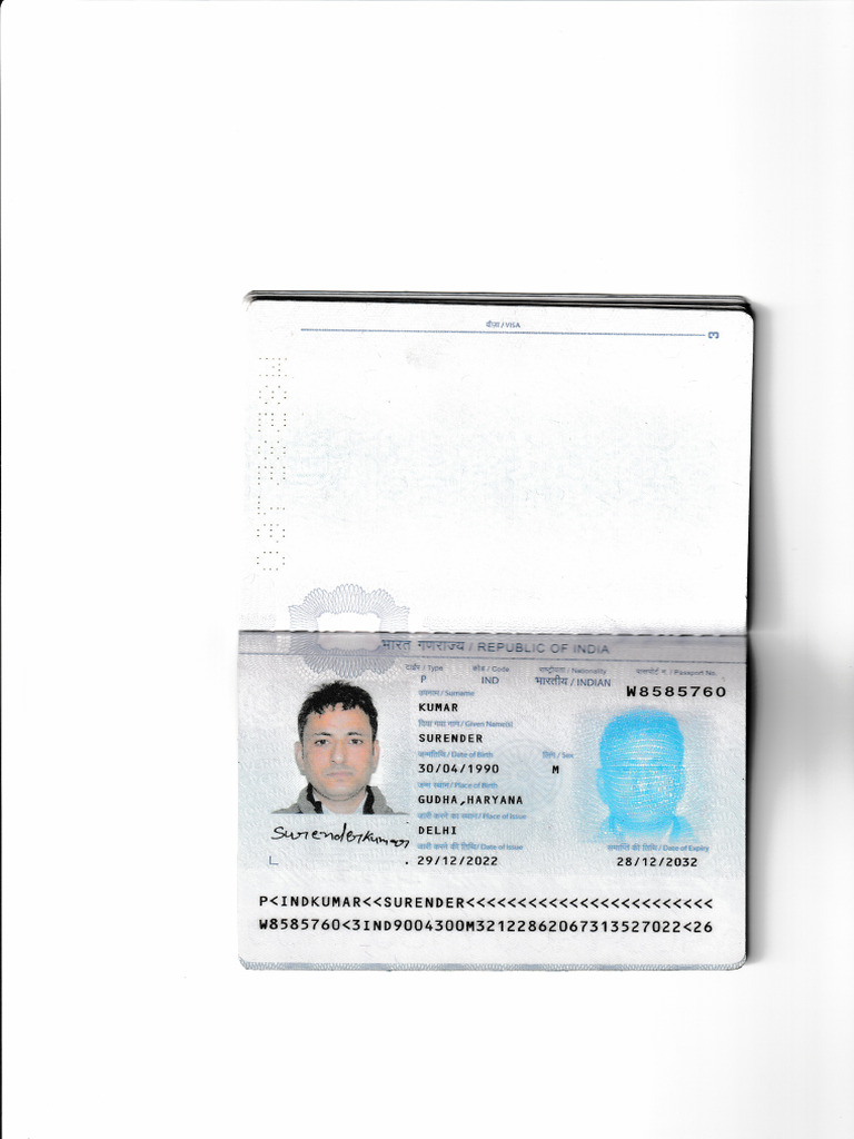 Passport 1 | PDF