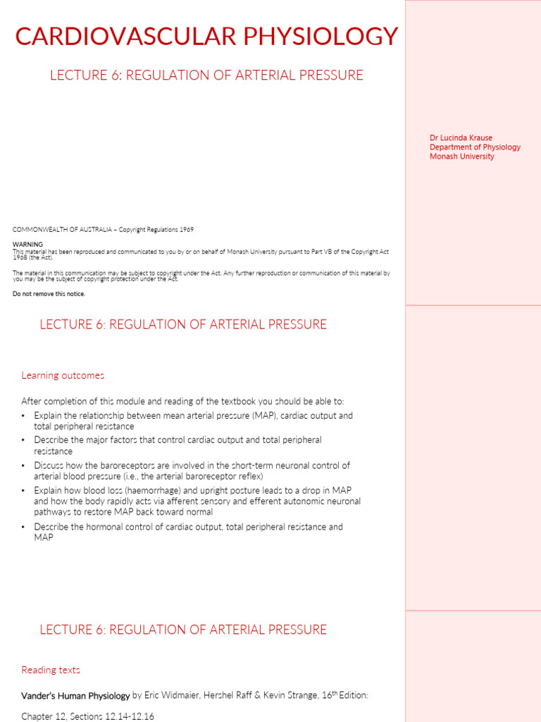 PHY2042 CV6 Lecture Handout 2023 | PDF | Blood Pressure | Artery