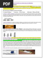 Types of Rope Whipping and Seizing | PDF | Rope | Manufactured Goods