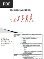 Human Evolution Chart | PDF | Homo | Human Evolution