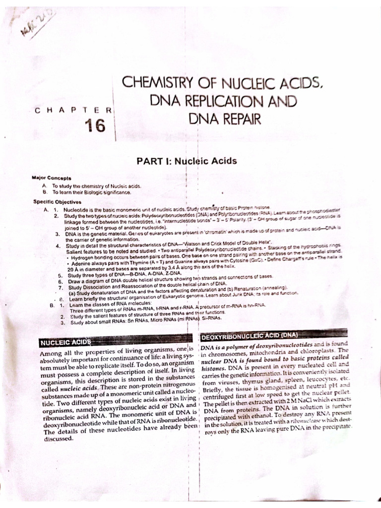 Nucleic Acids, Dna Replication and Dna Repair | PDF