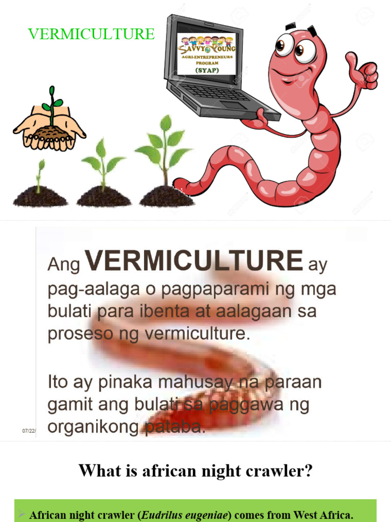 Verm I Culture | PDF | Compost | Soil