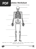 Skeleton Worksheet and Answer Key | PDF | Skeleton | Bone