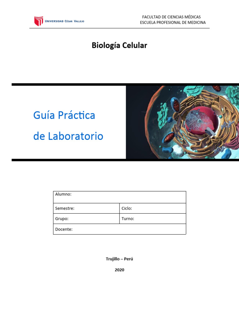 Guía de Practica 08 TRANSCRIPCION | PDF | Rna | Adn