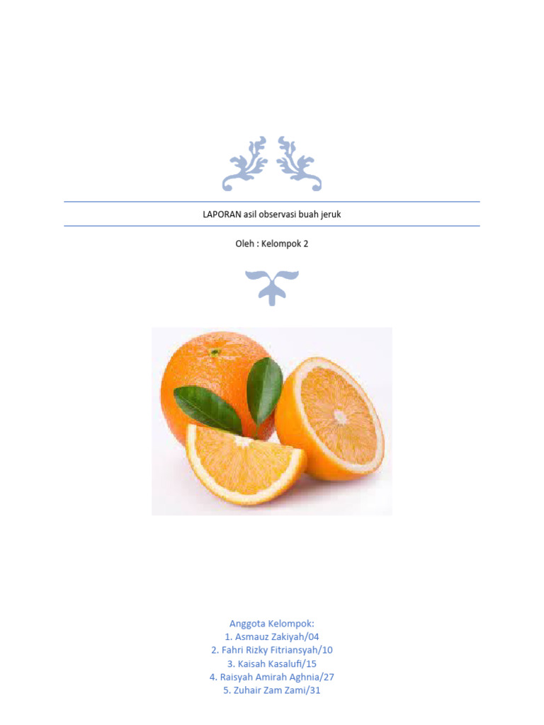 OBSERVASI BUAH JERUK New | PDF