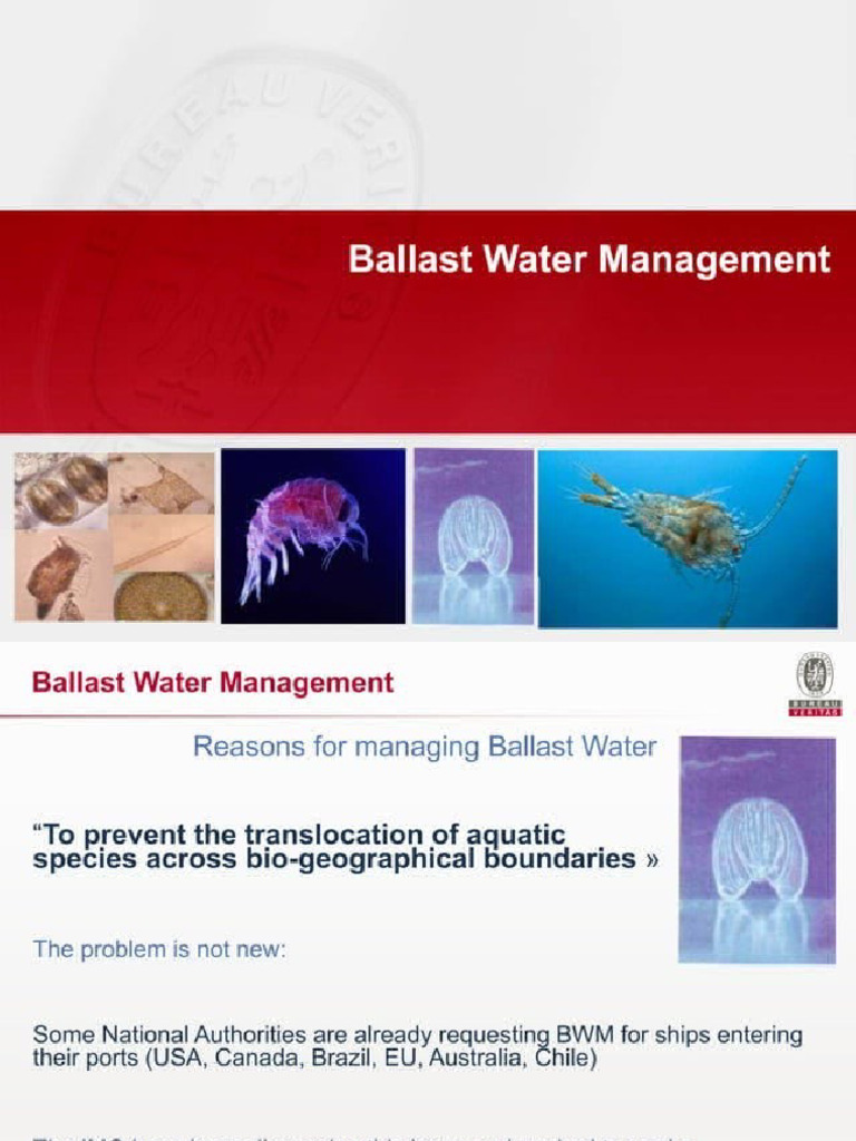 BWM | PDF