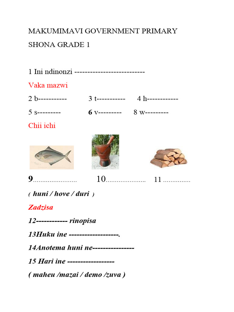 Grade 1 Shona Paper1 - 051740 | PDF