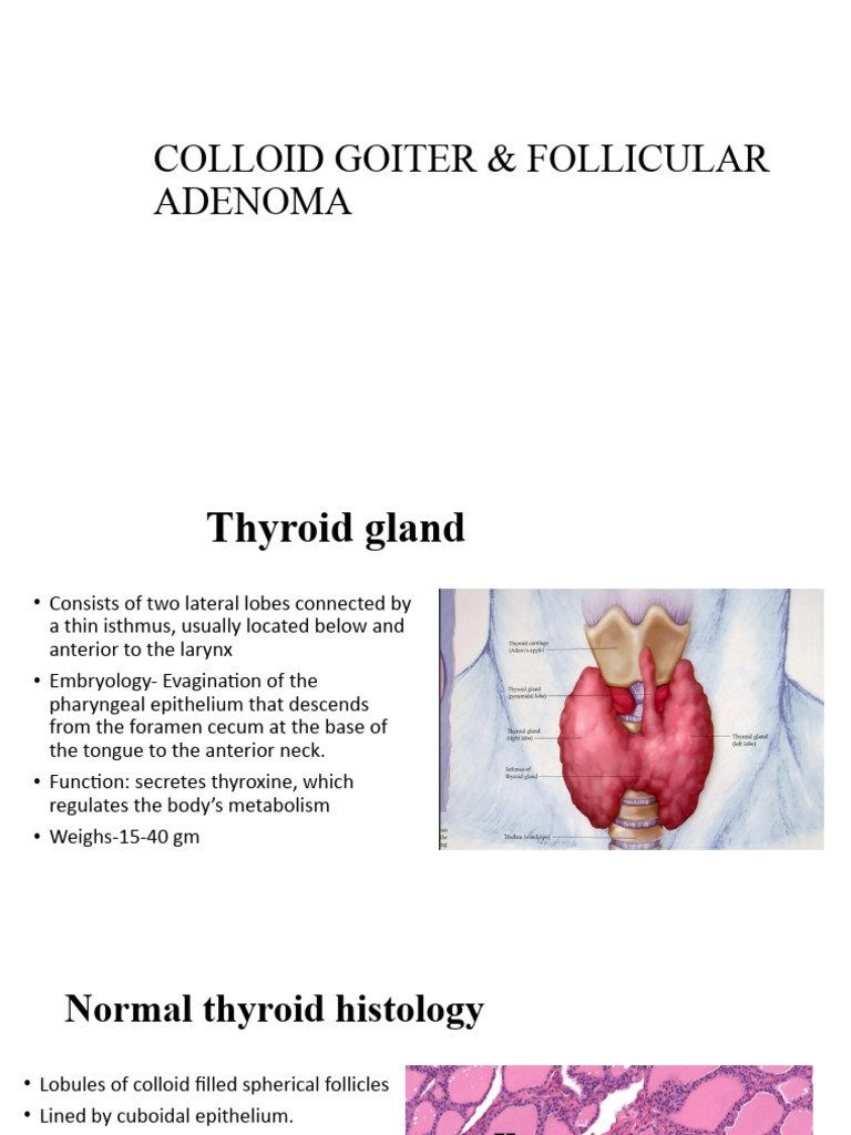 COLLOID | PDF | Thyroid | Diseases And Disorders