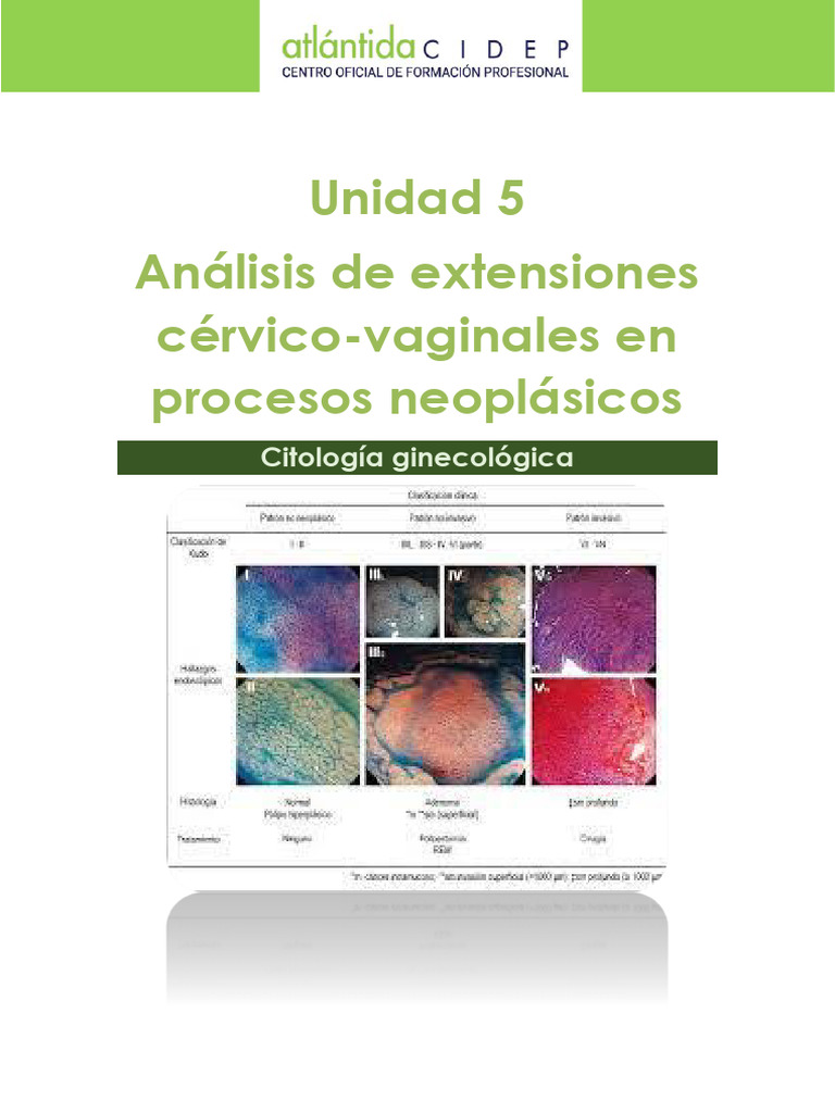 Tema 5-1 | PDF | Nucleo celular | Cáncer de cuello uterino