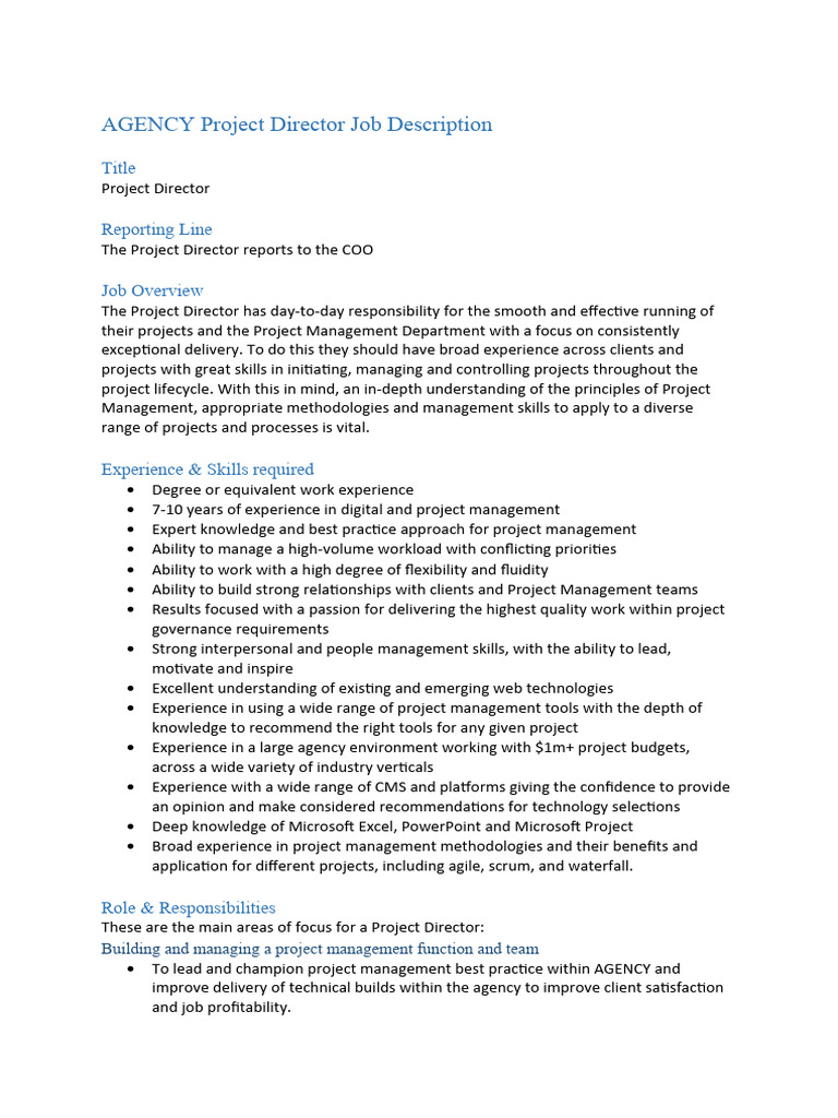 AGENCY Project Director Job Description | PDF | Project Management ...