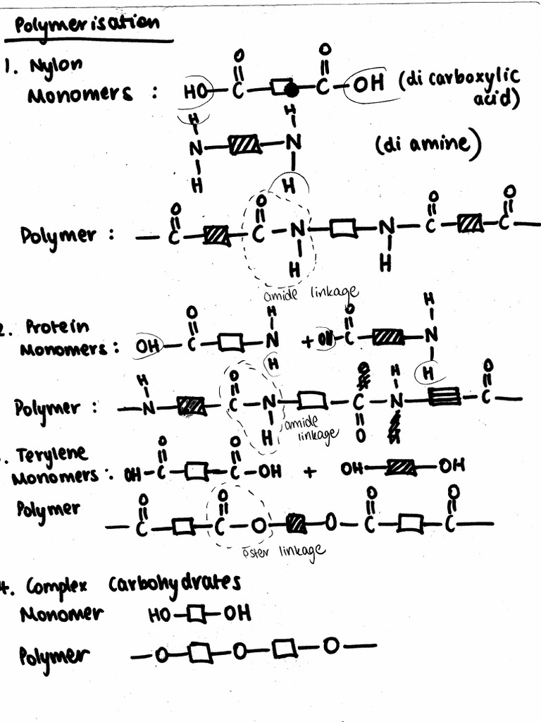 Polymerisation | PDF