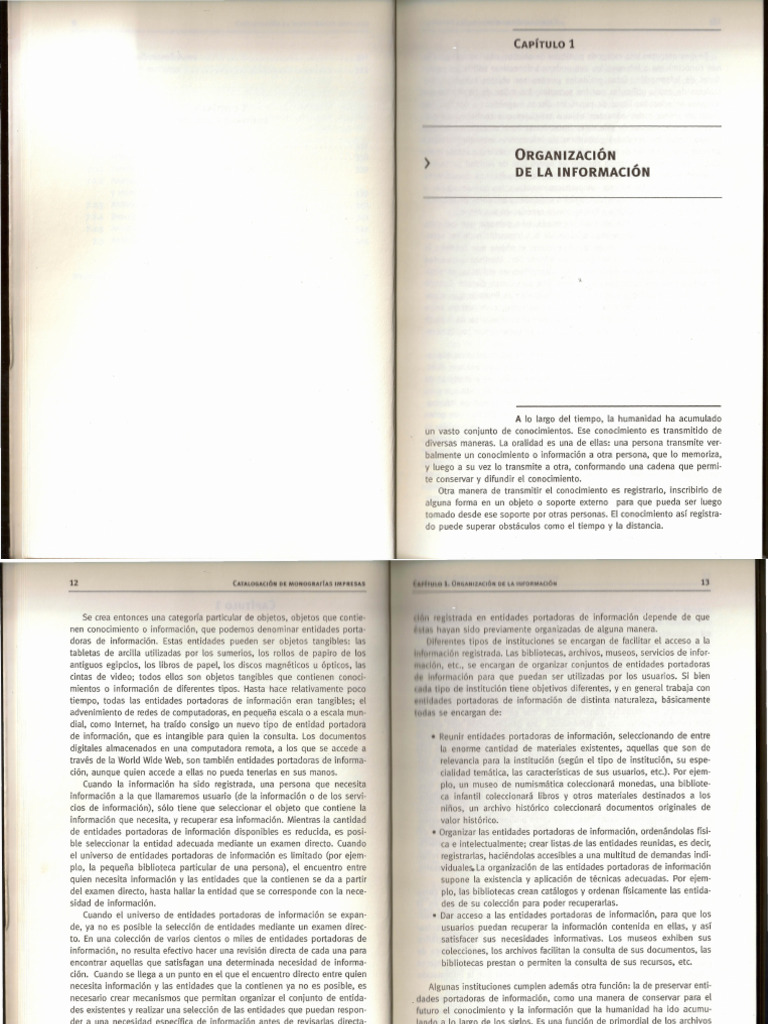 05 Org Informacion 10-26 Spedalieri | PDF | Conocimiento | Información