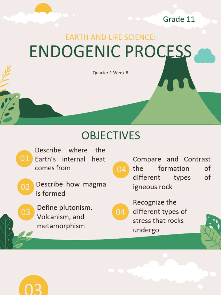 Endogenic Process | Download Free PDF | Igneous Rock | Magma