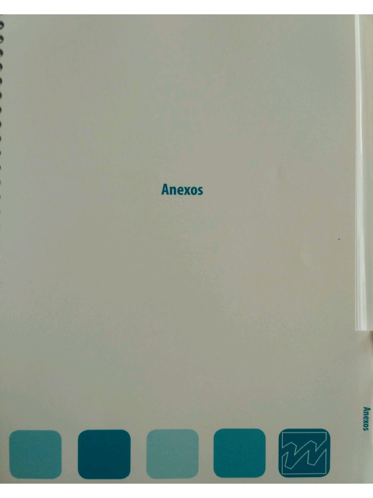 Anexos | PDF
