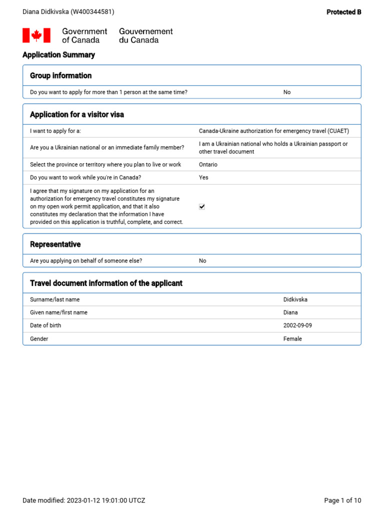 Application Summary Group Information | PDF | Passport | Identity Document