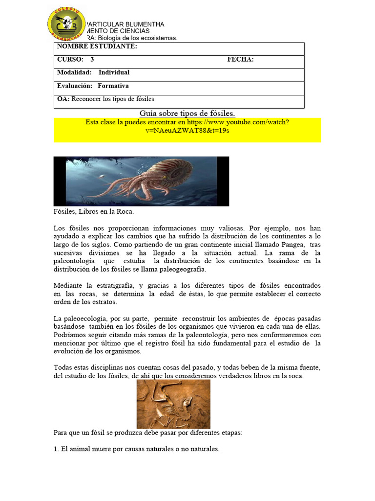 Tipos de Fósiles y su Importancia | PDF | Fósil | Combustibles fósiles