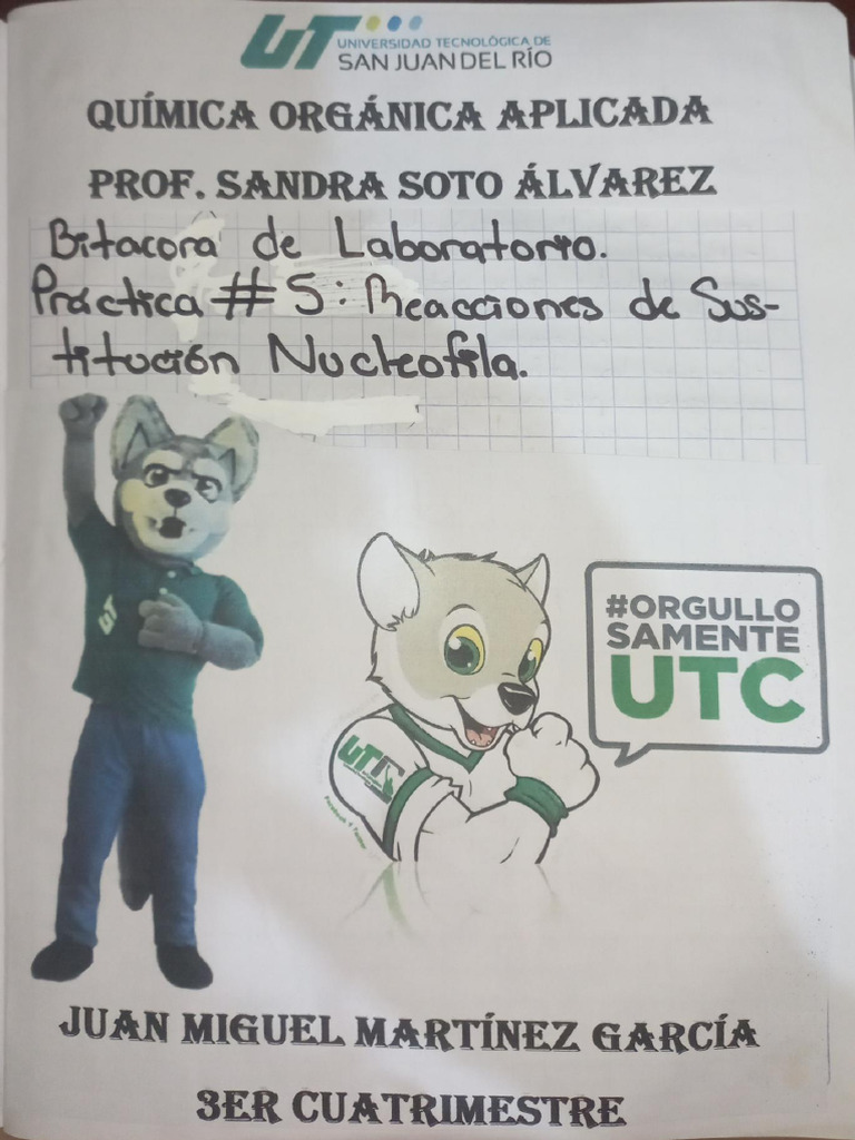 Bitácora Química Orgánica Aplicada | PDF