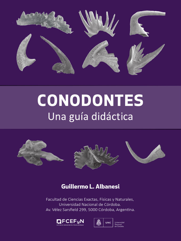 Guía de Conodontes del Paleozoico | PDF | Diente | Fósil