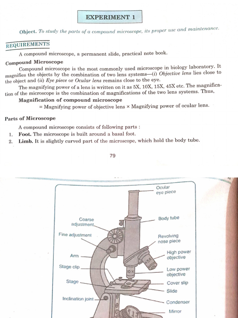 Compound Microscope Parts | PDF