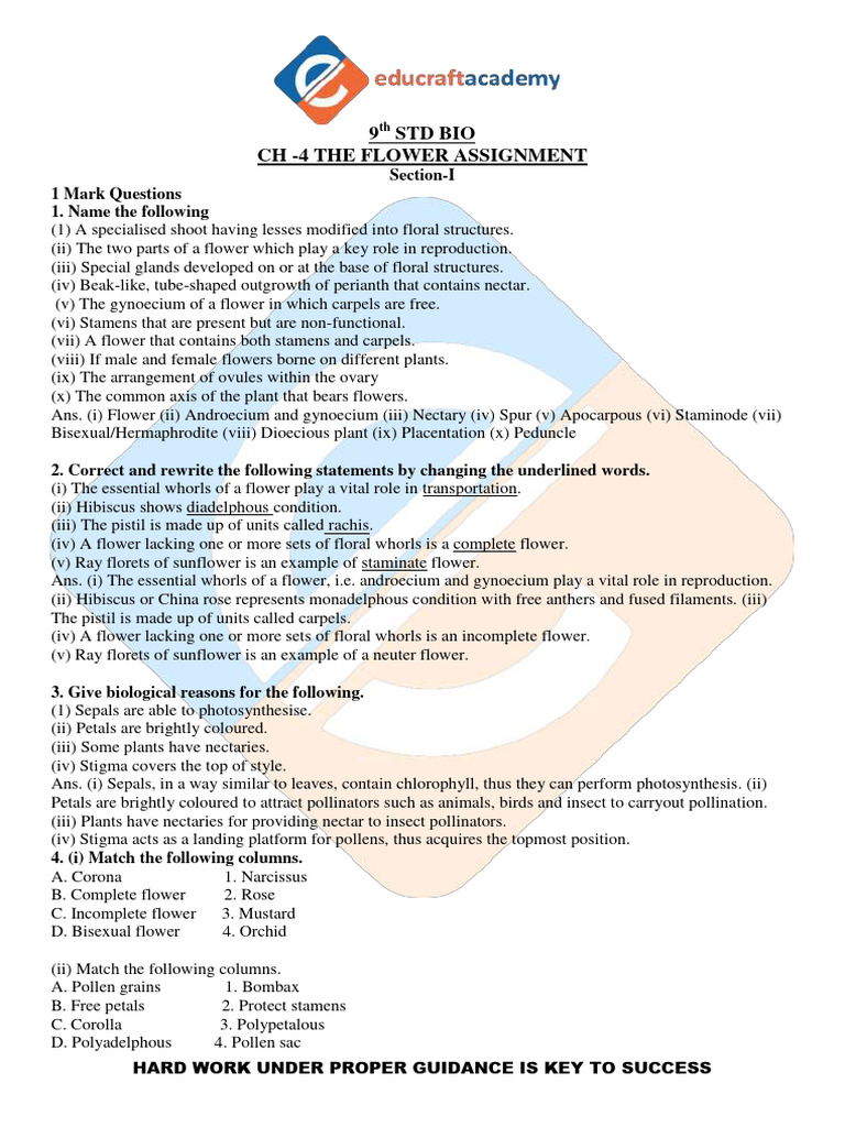 9TH Bio CH - 4 Assignment (Module) | PDF | Flowers | Petal