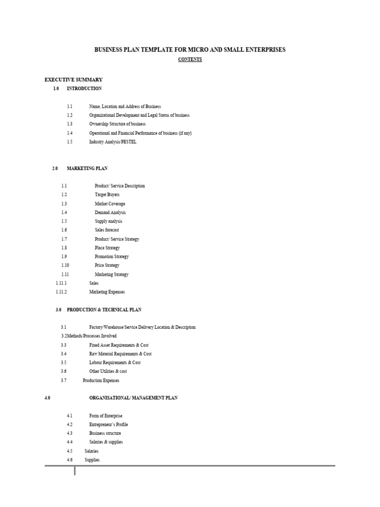 Micro and Small Enterprises Business Plan | PDF | Sales | Demand