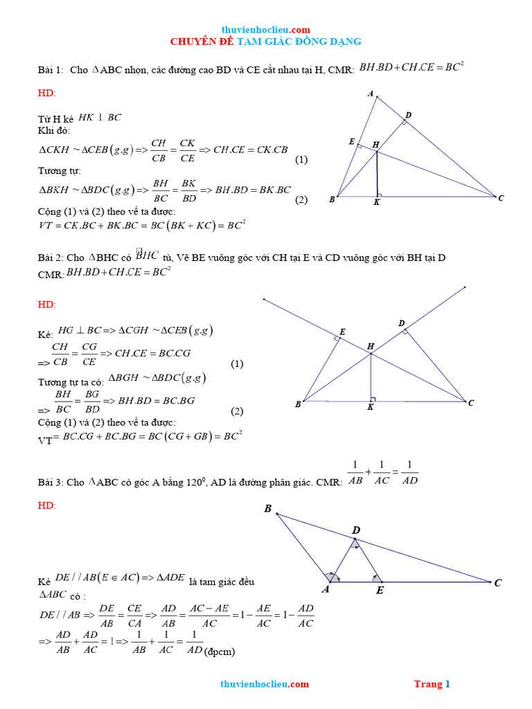 Chuyen de Tam Giac Dong Dang BDHSG Toan 8 | PDF