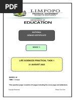 Grade 11 Gaseous Exchange Practical Task - Term 3 2024-1 | PDF | Breathing | Respiration