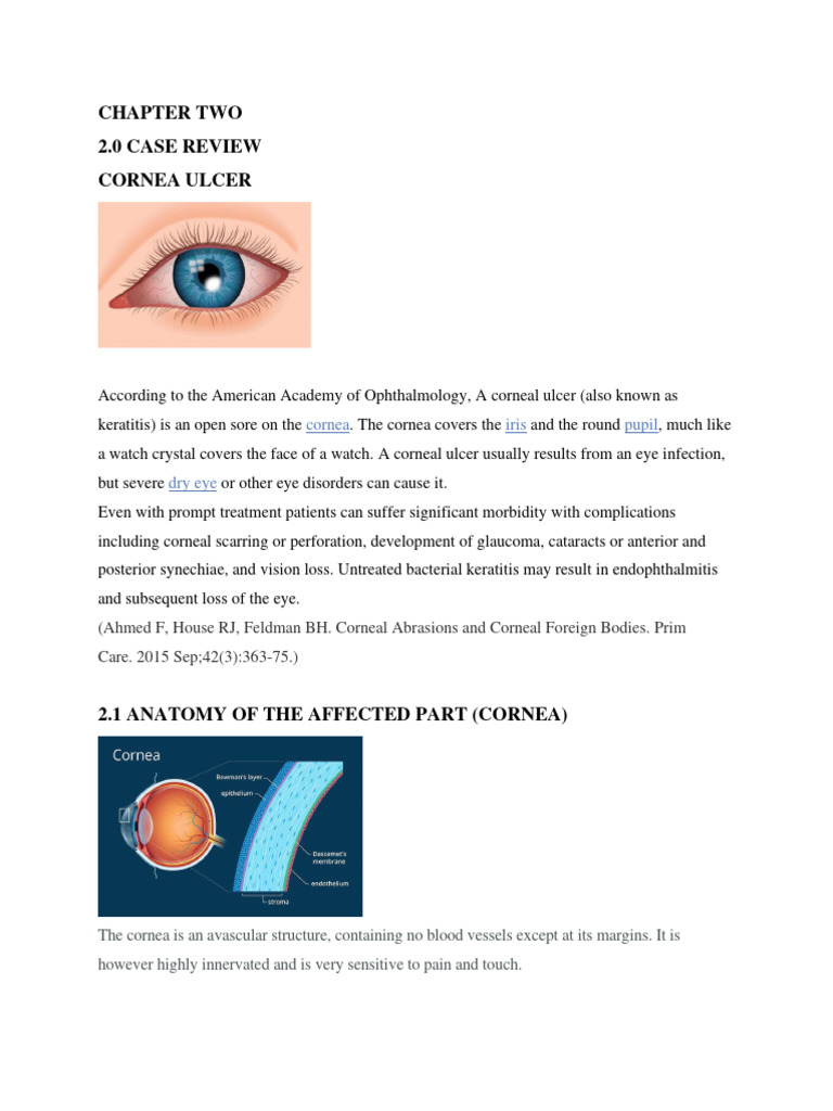 Chapter Two (Adewunmi Omolara) | PDF | Cornea | Human Eye