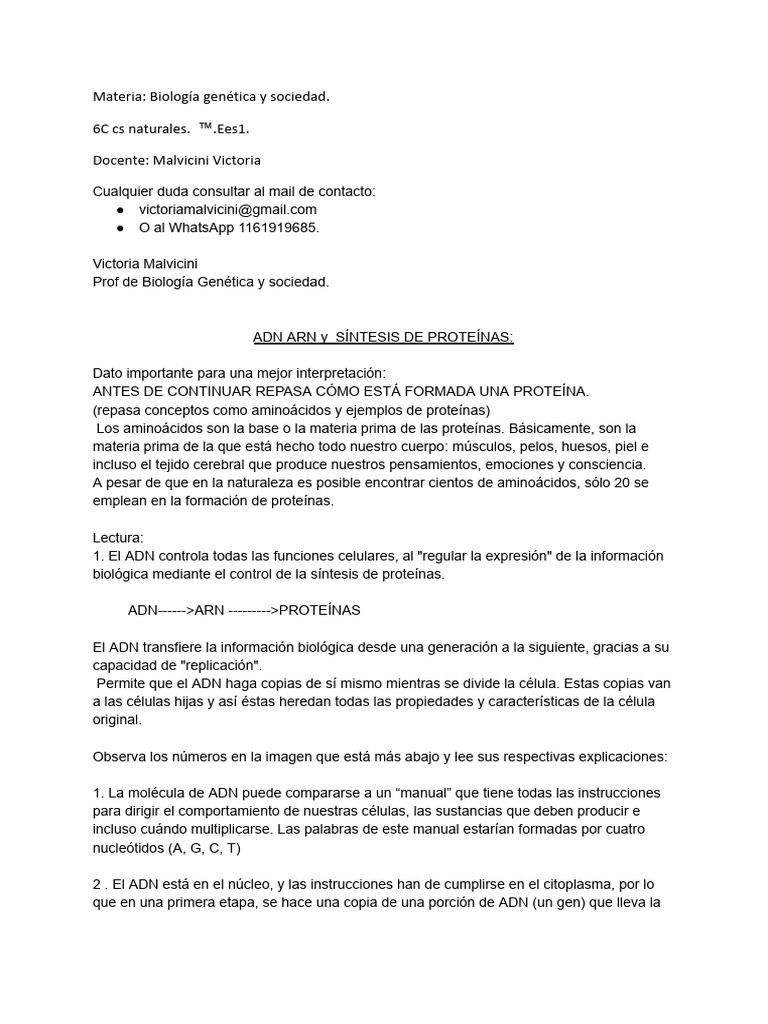 4 Adn Arn y Síntesis de Proteína | PDF | Adn | Rna