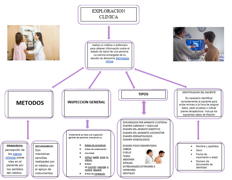 ORGANIZADOR | PDF | Enfermedades y trastornos | Ciencias de la Salud