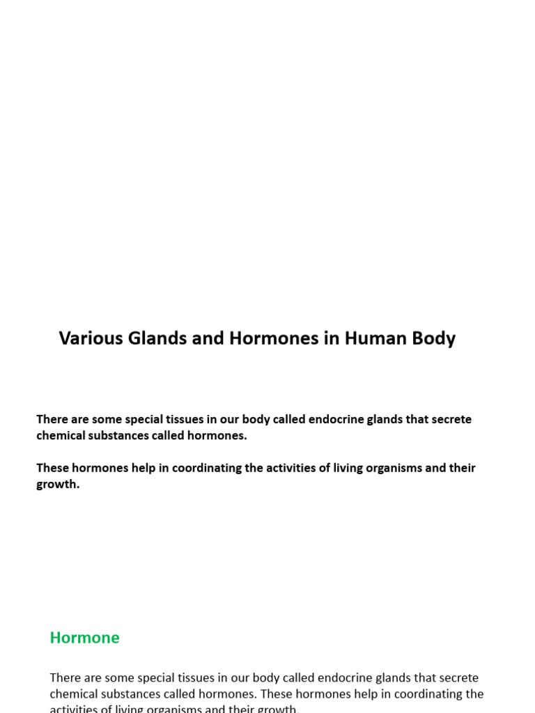 Human Gland | PDF | Endocrine System | Pancreas